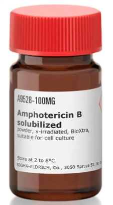 AMPHOTERICINE B SUPPL, powder, 100mg [Sigma-A9528-100MG] | Unicat