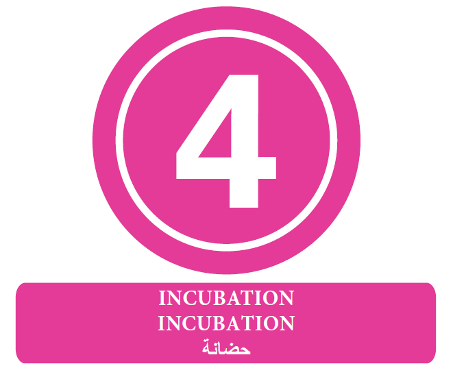 (MiniLab) STICKER n°4, inside, 190x170mm | Unicat